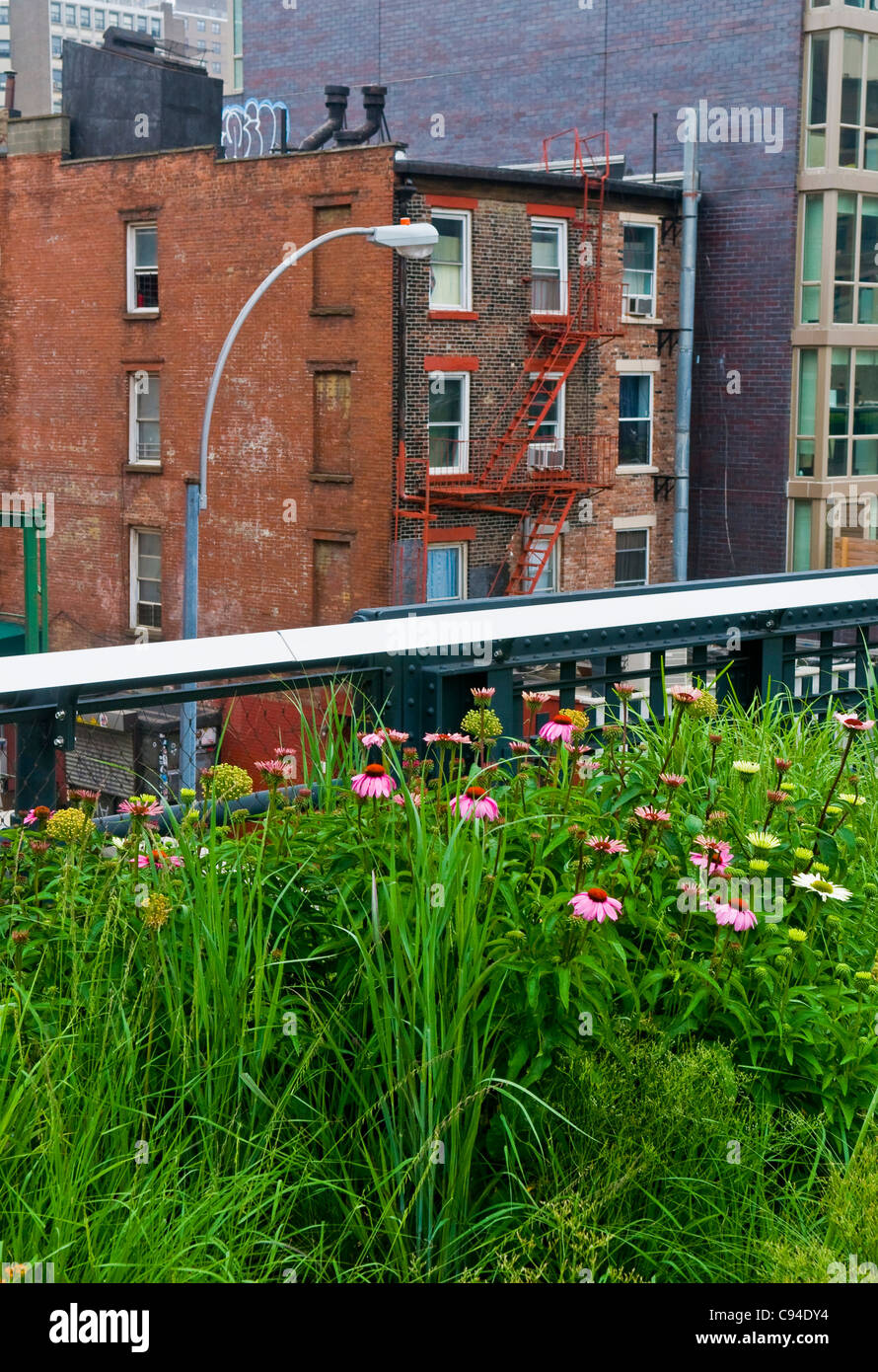 An apartment building and the elevated high line park in Manhattan New ...