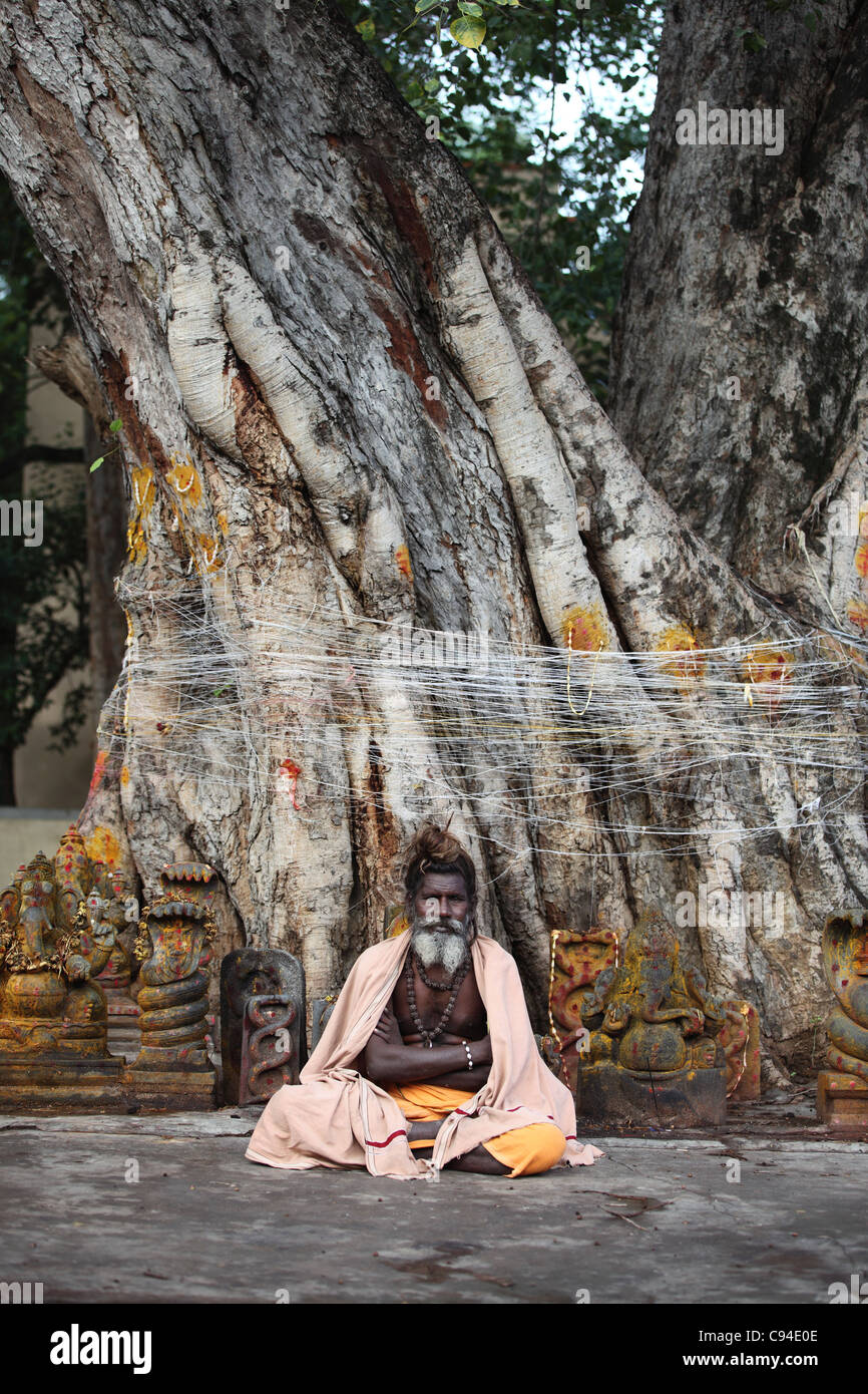 Sadhu sitting at a holy tree with statues of Hindu gods Tamil Nadu ...