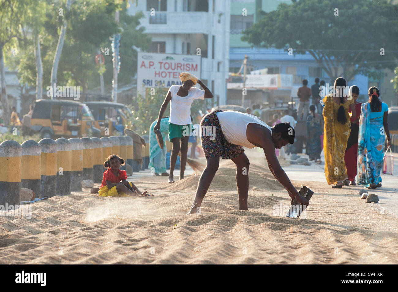 Indian collecting up freshly harvested rice left to dry on a busy ...