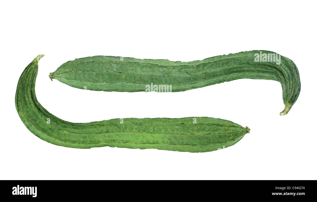 Chinese sponge gourd Cut Out Stock Images & Pictures - Alamy