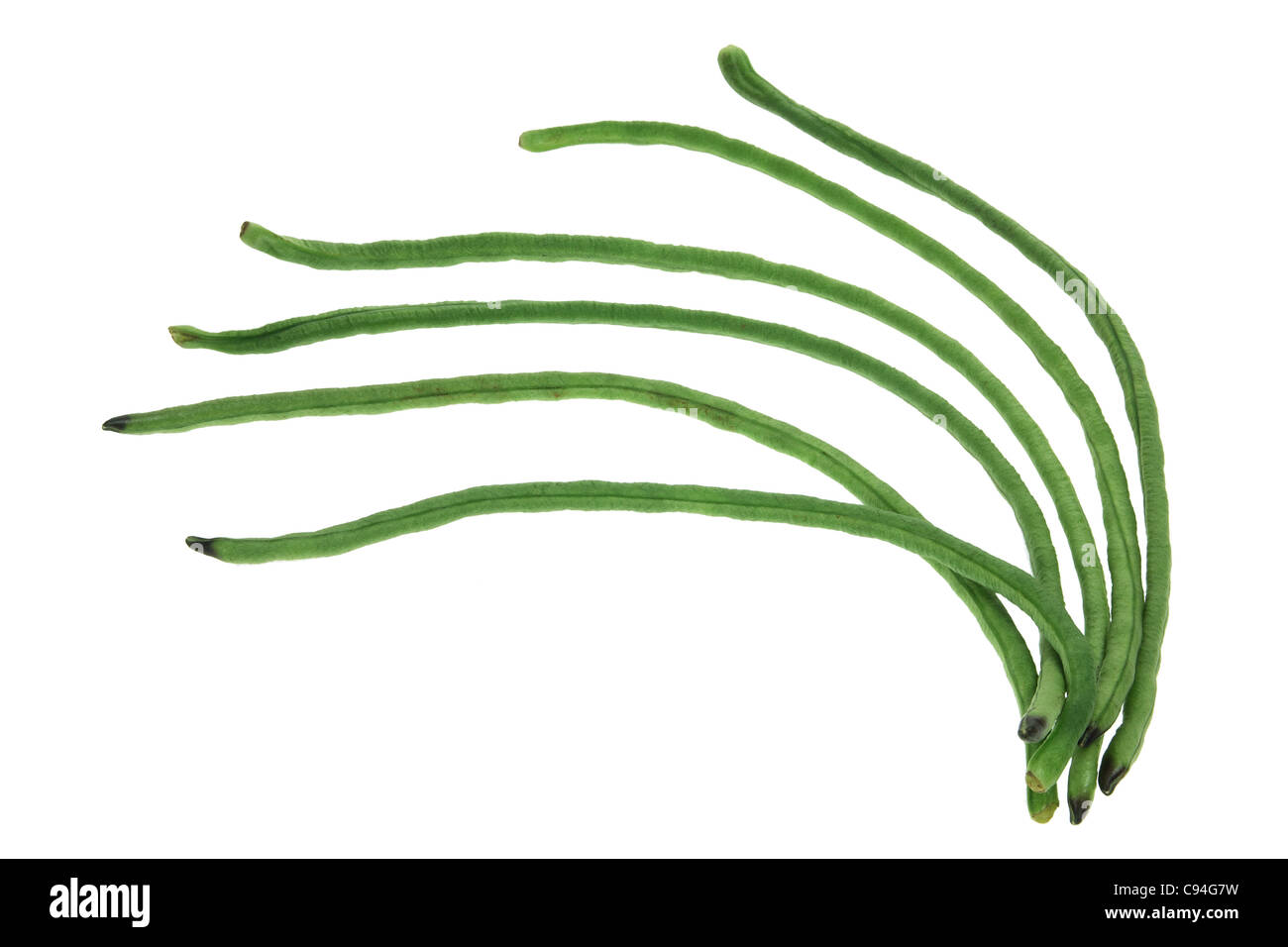 Snake beans hi-res stock photography and images - Alamy