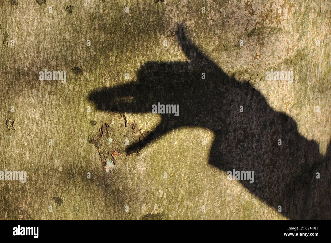 Shadow hand dog hi-res stock photography and images - Alamy