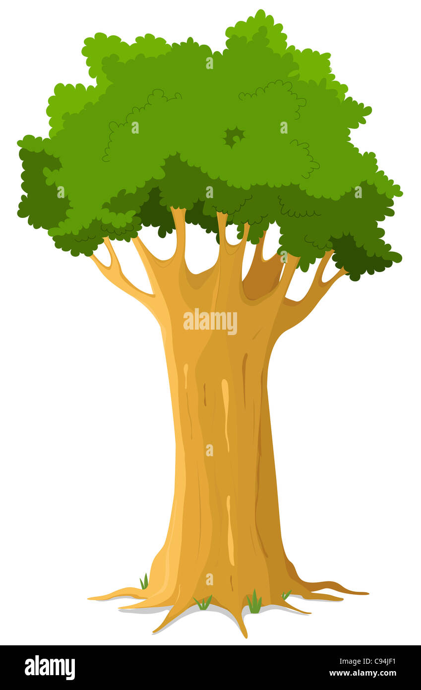 Illustration big cartoon oak tree hi-res stock photography and images ...