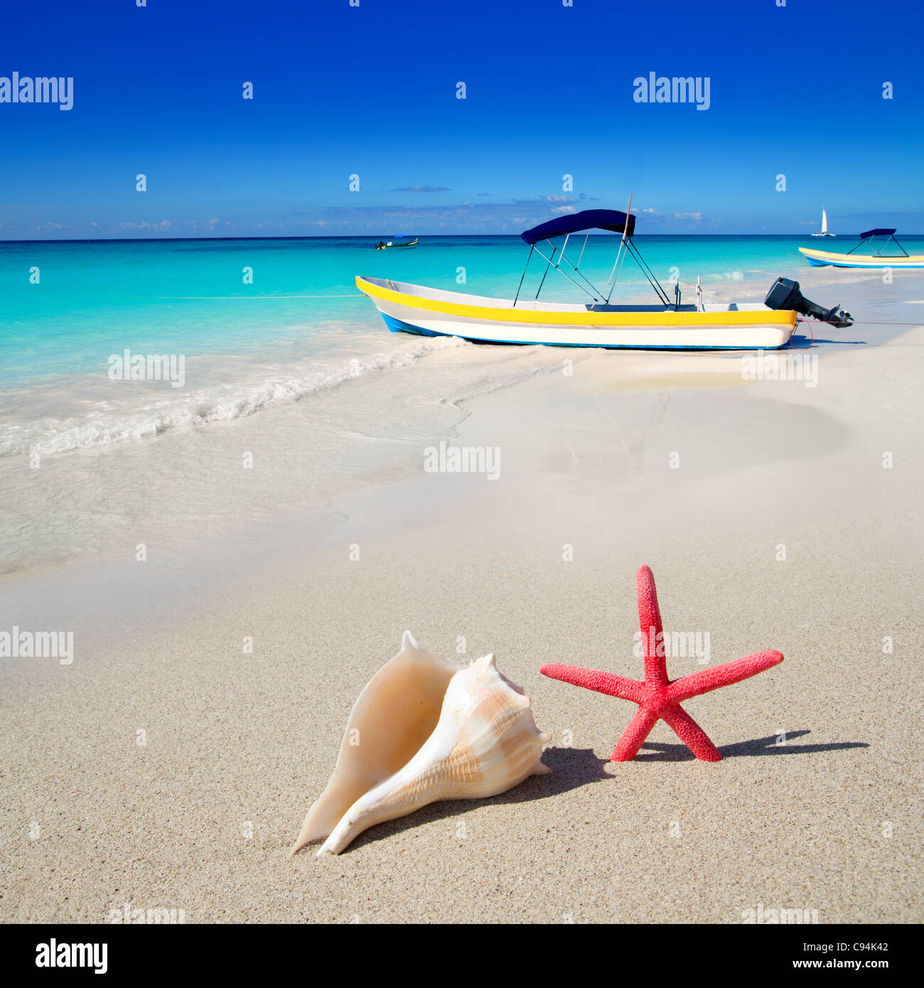 Seashell boat hi-res stock photography and images - Alamy