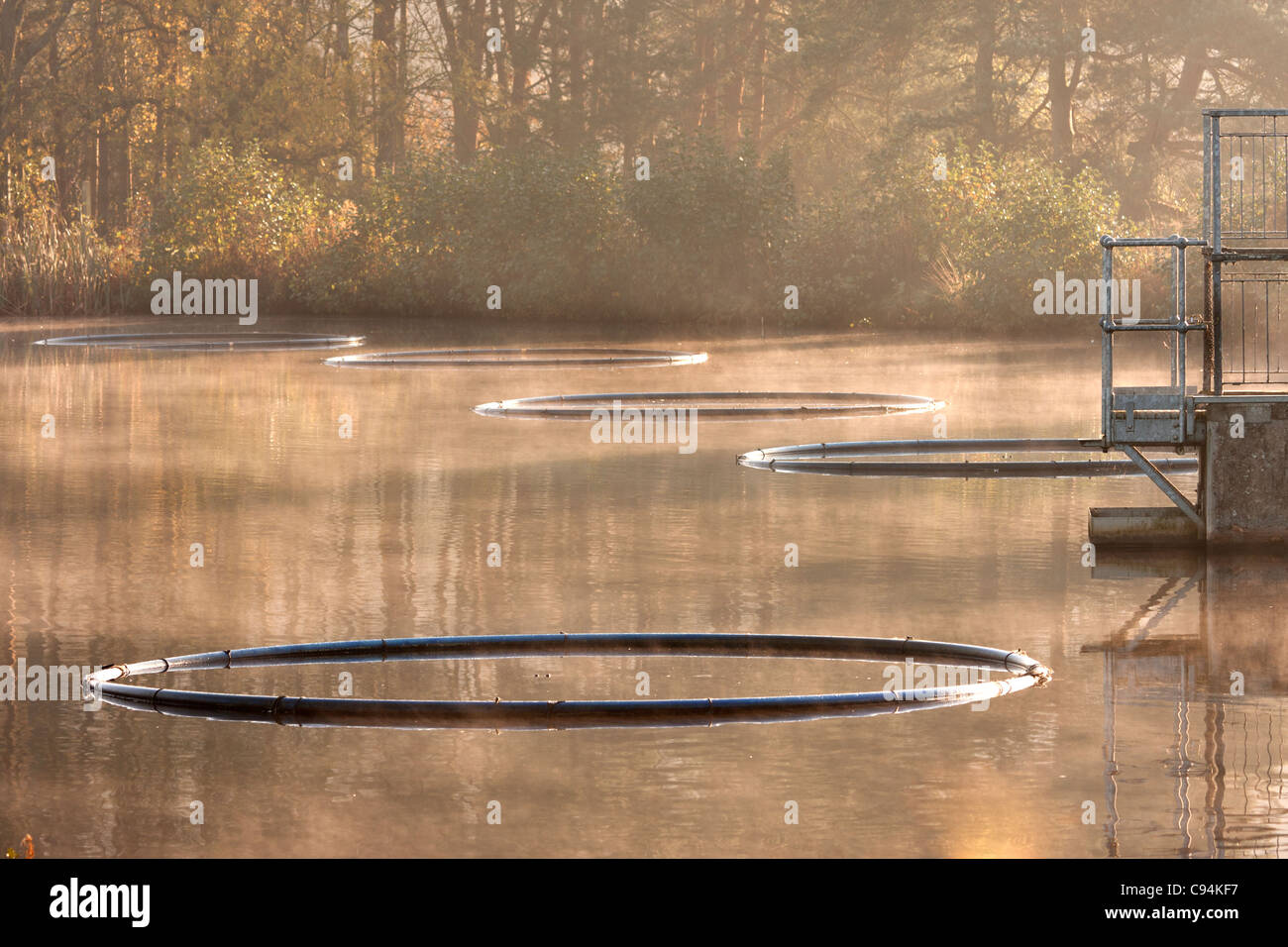 early morning on Trimpley reservoir in Wyre Forest Stock Photo - Alamy