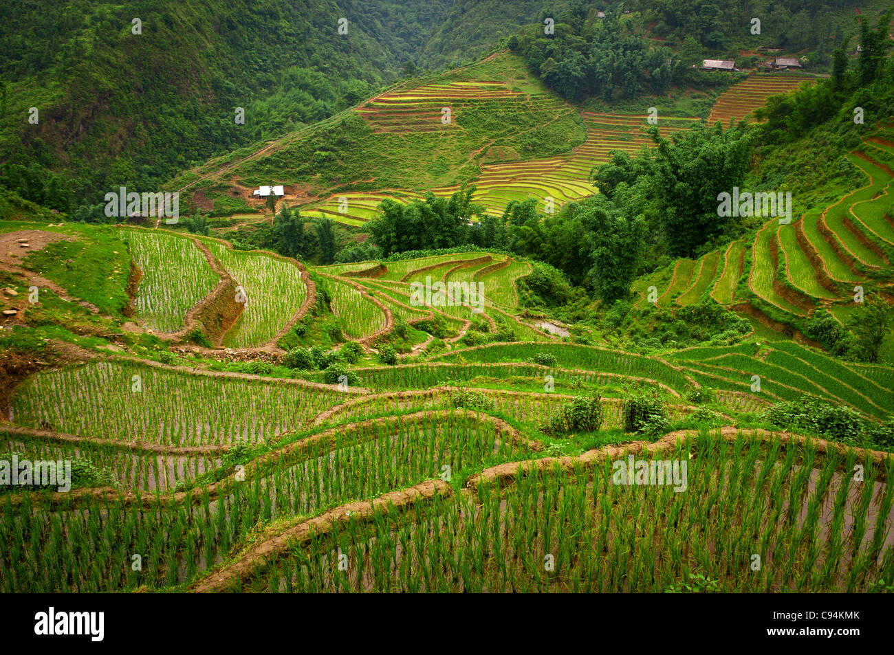 Sapa valley, Vietnam Stock Photo - Alamy