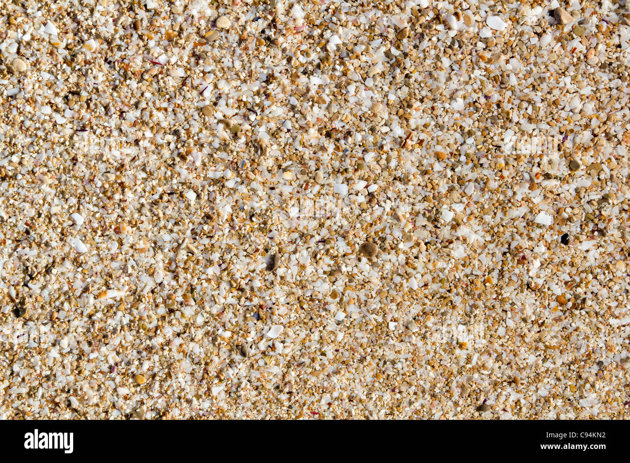 Ibiza sand macro soil texture with little cracked shell bits Stock ...