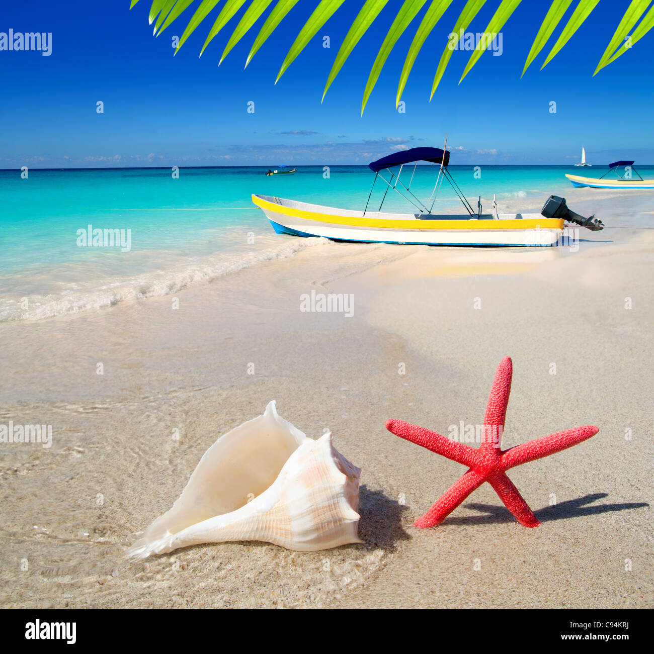 beach starfish and seashell with tropical boat in turquoise sea Stock ...