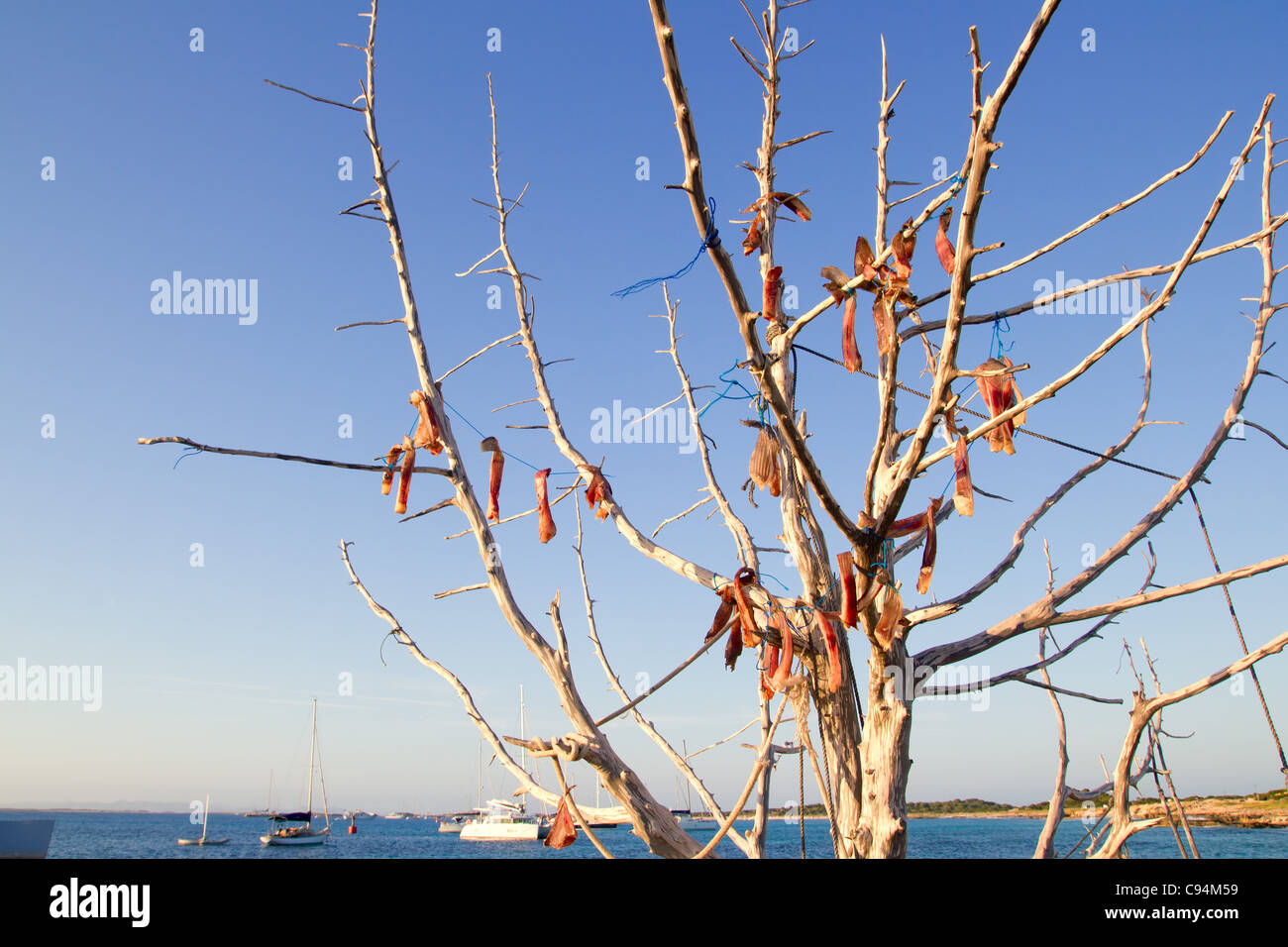 Air dried salted fish in outdoor tree Mediterranean tradition in ...
