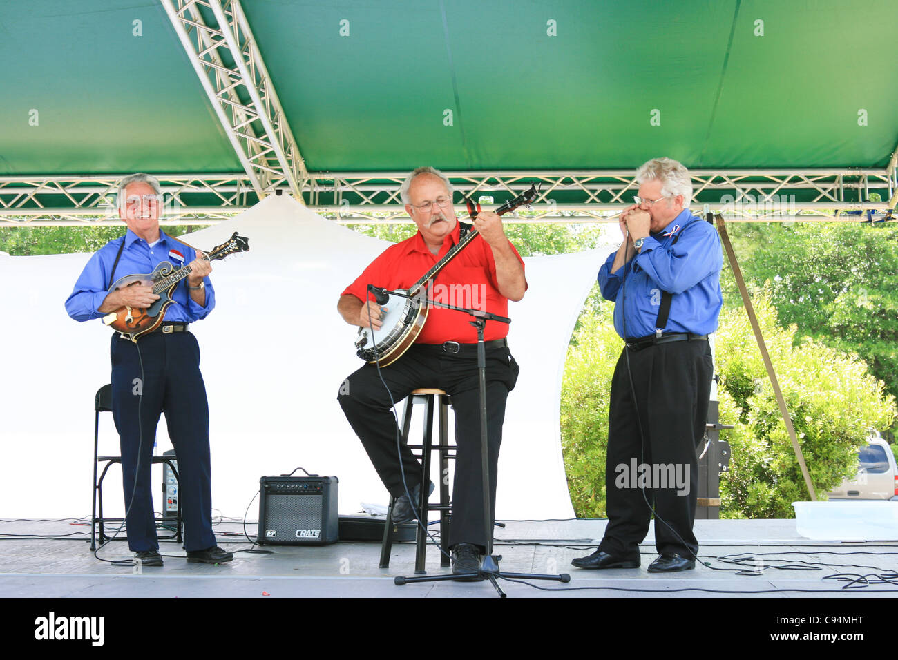 Annual bluegrass hi-res stock photography and images - Alamy