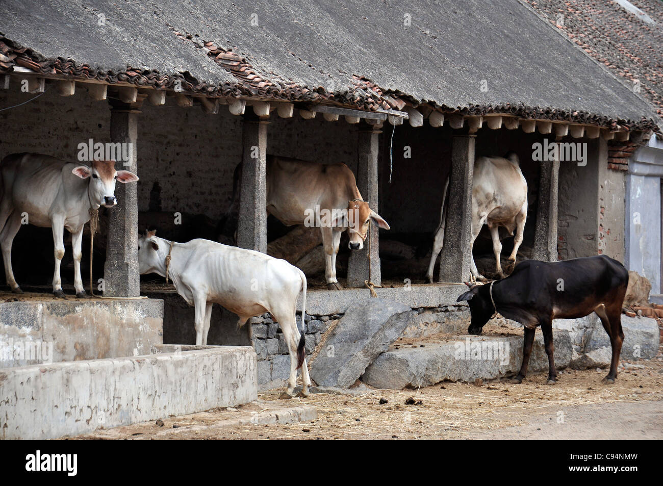 Indian shelter hi-res stock photography and images - Alamy