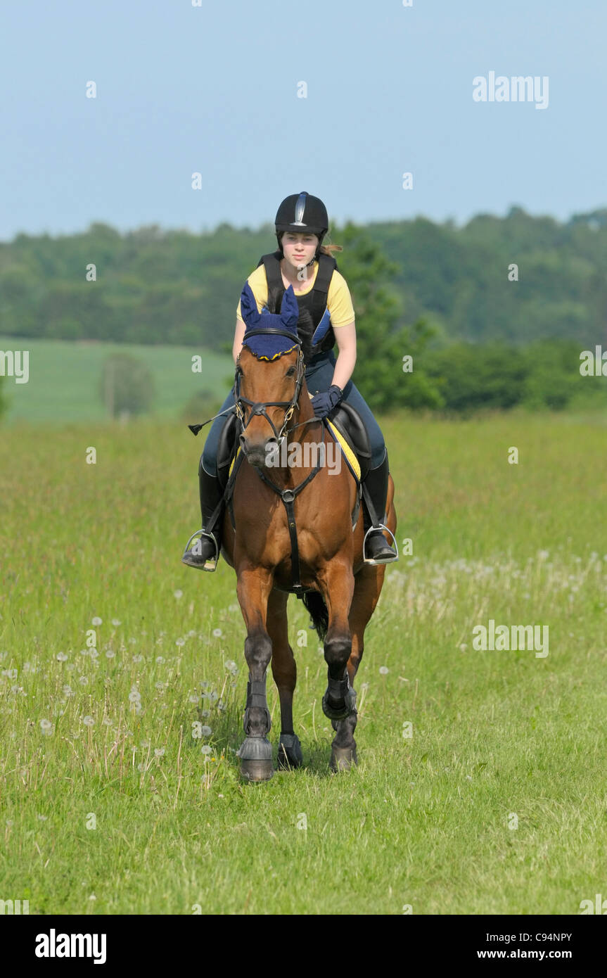 Young rider wearing body protector hi-res stock photography and images ...