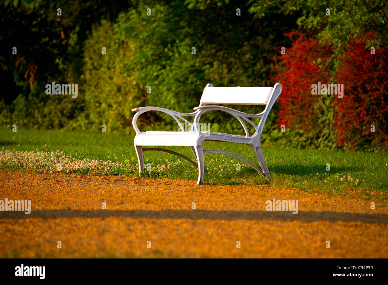 White bench in a summer park Stock Photo - Alamy