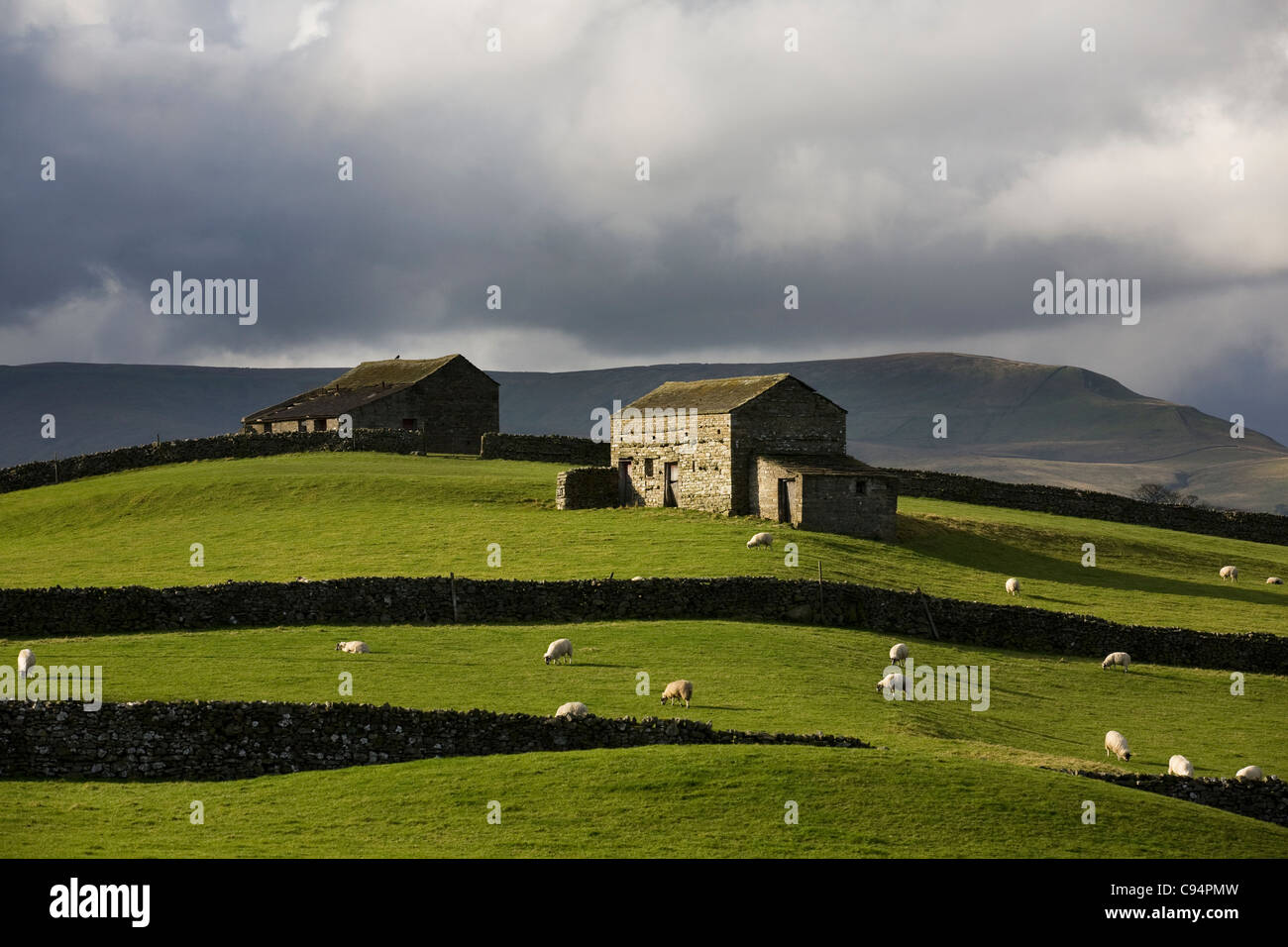 Overcast Sky Barns and Field Boundary walls at Hawes, Cumbria, UK Stock ...