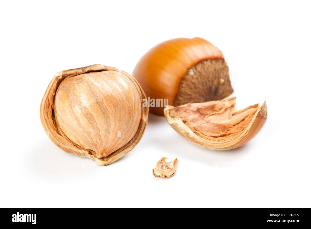 Filbert nut isolated on white background Stock Photo - Alamy