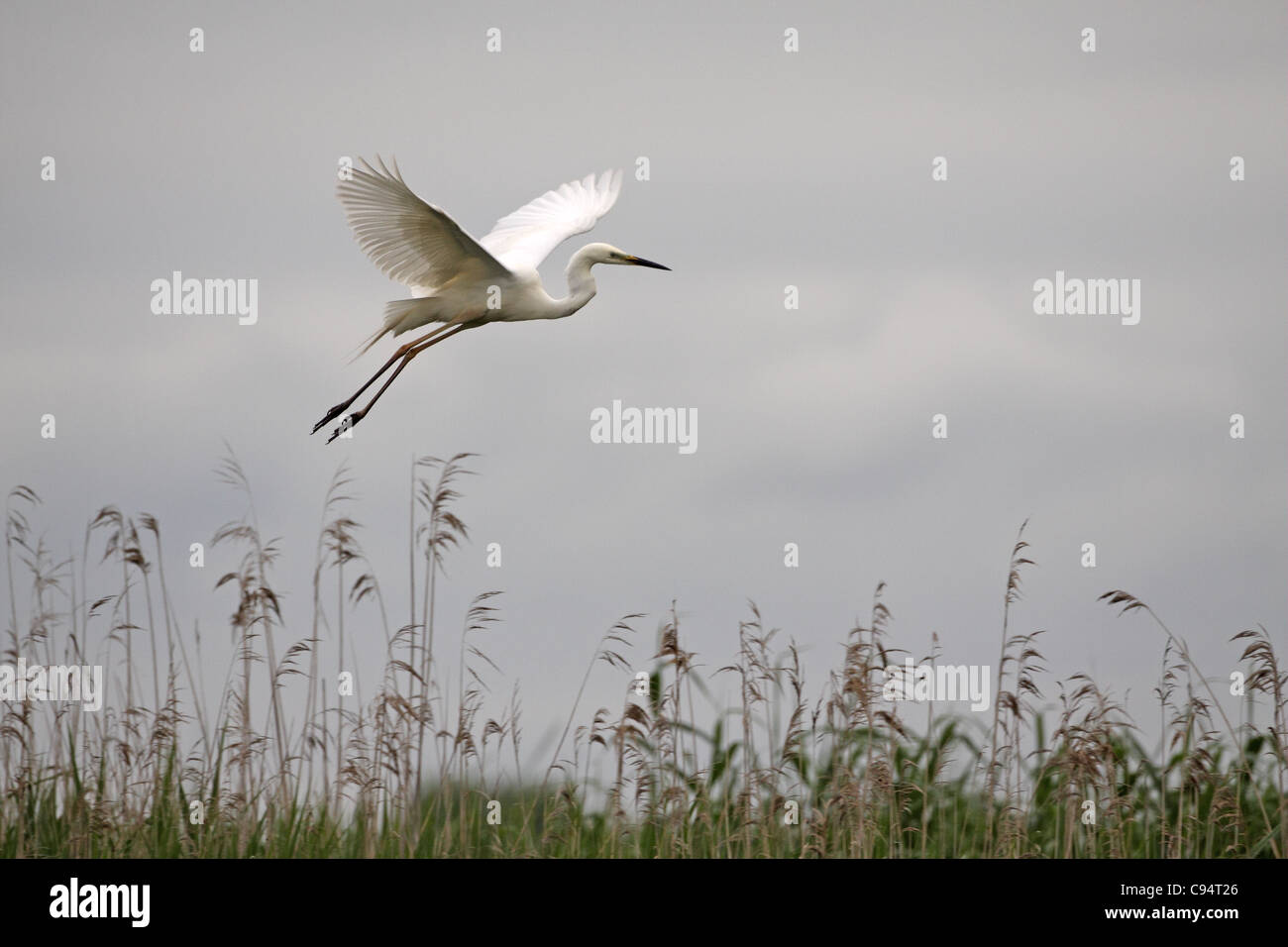 Flying water bed hi-res stock photography and images - Alamy