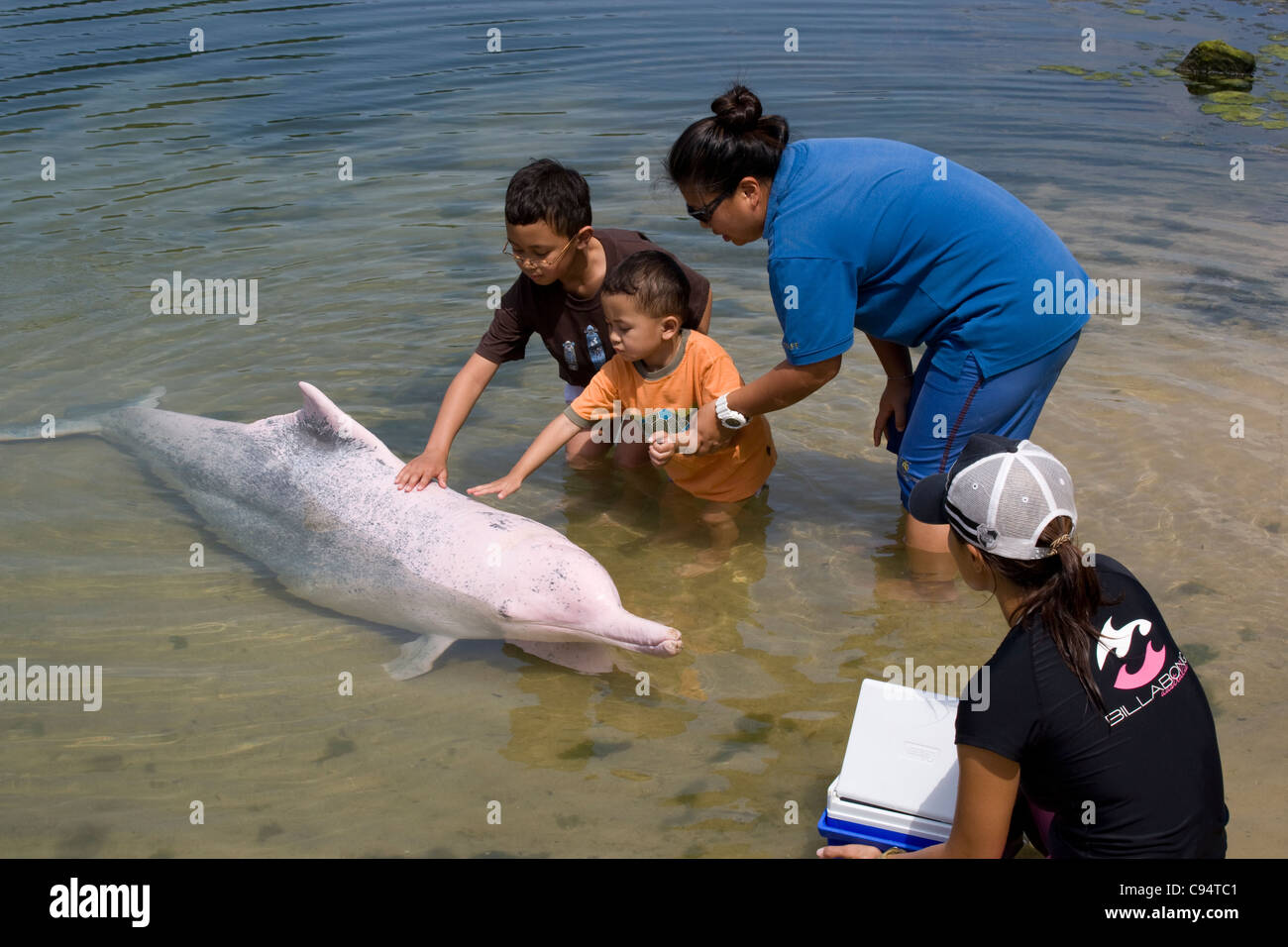 Sentosa Island - Dolphin Lagoon / pink dolphin encounters Stock Photo ...