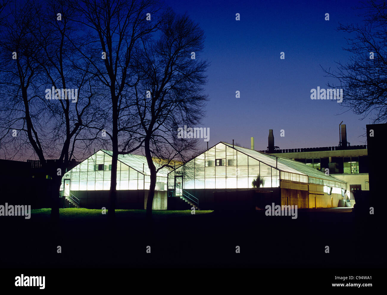 Laboratory greenhouse plants hi-res stock photography and images - Alamy