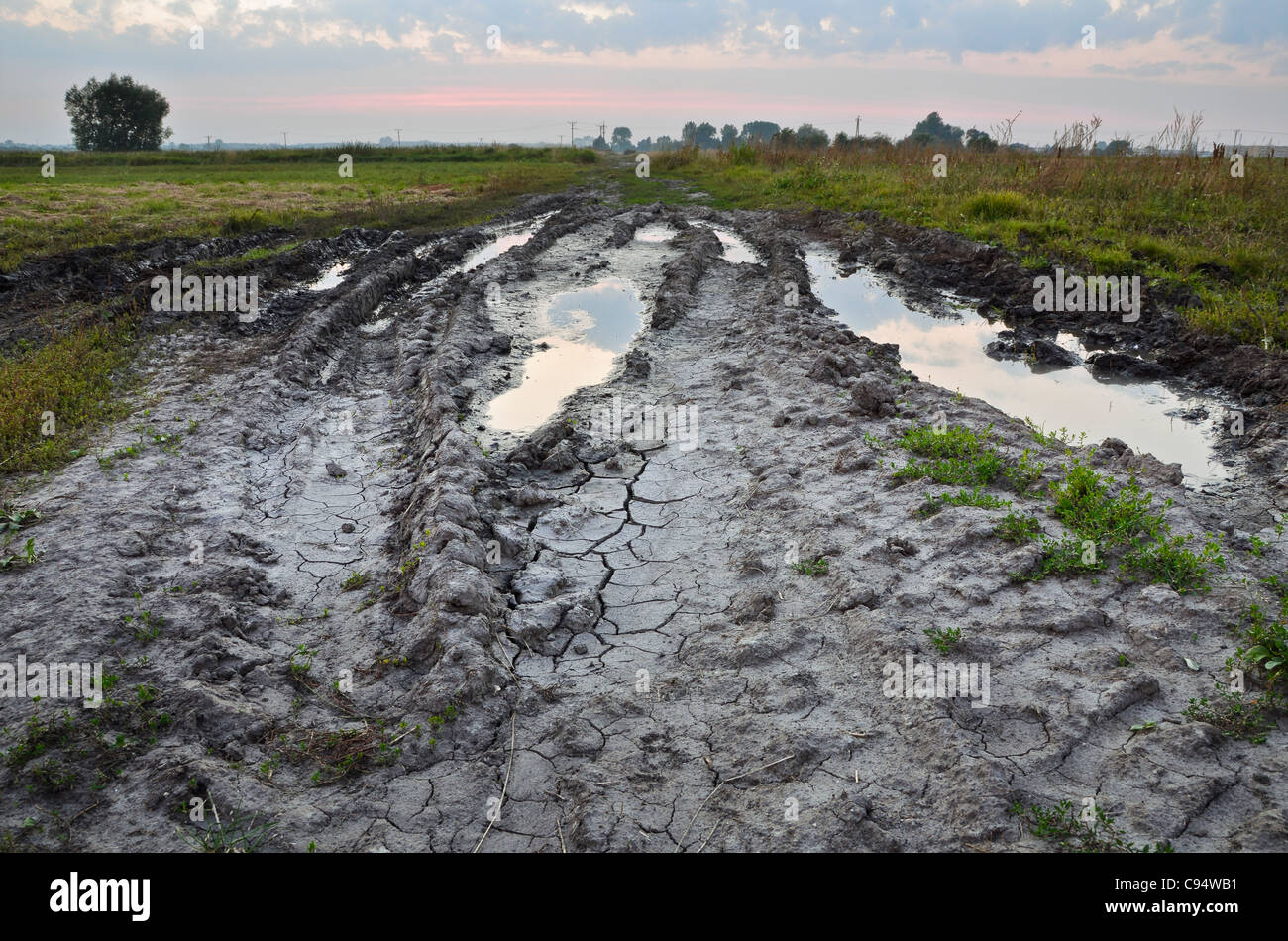 Guagmire hi-res stock photography and images - Alamy