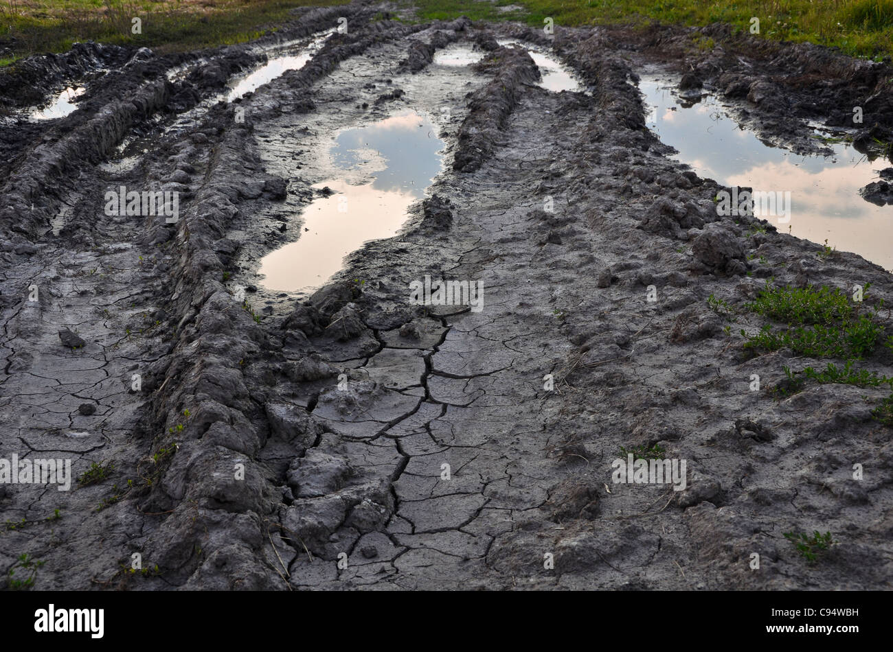 Guagmire hi-res stock photography and images - Alamy