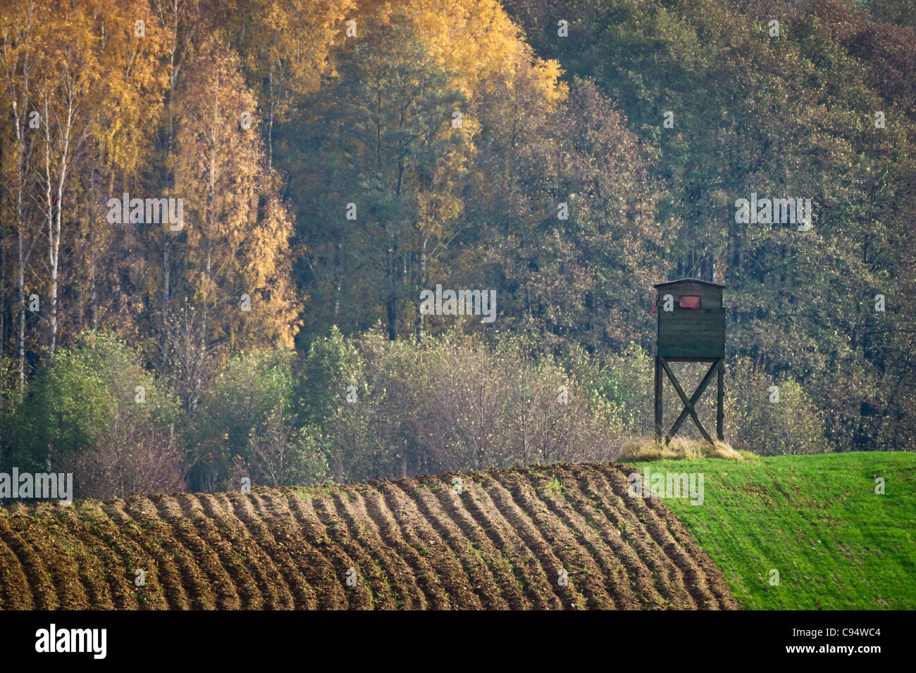 Outpost in the meadow in autumn Stock Photo - Alamy