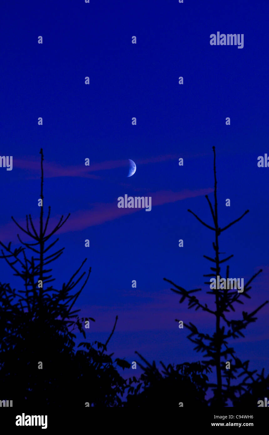 Moon at night Stock Photo - Alamy