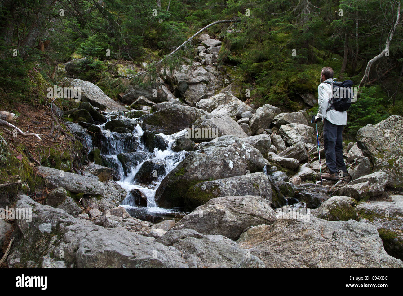 Mount Washington is the highest peak in the NE United States at 6,288 ...