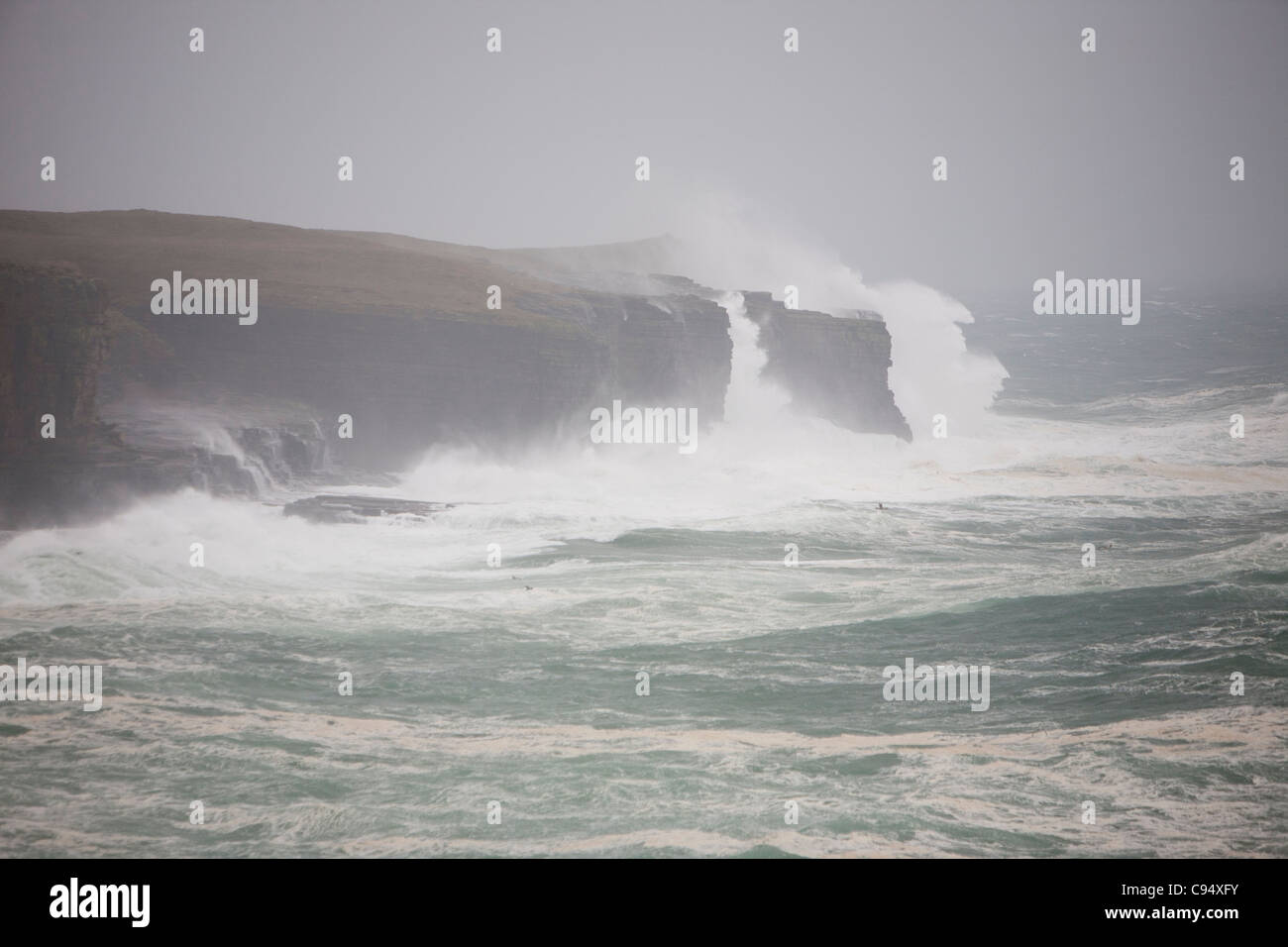 Storm driven waves crashing over 80 foot cliffs at Deerness on Orkney ...