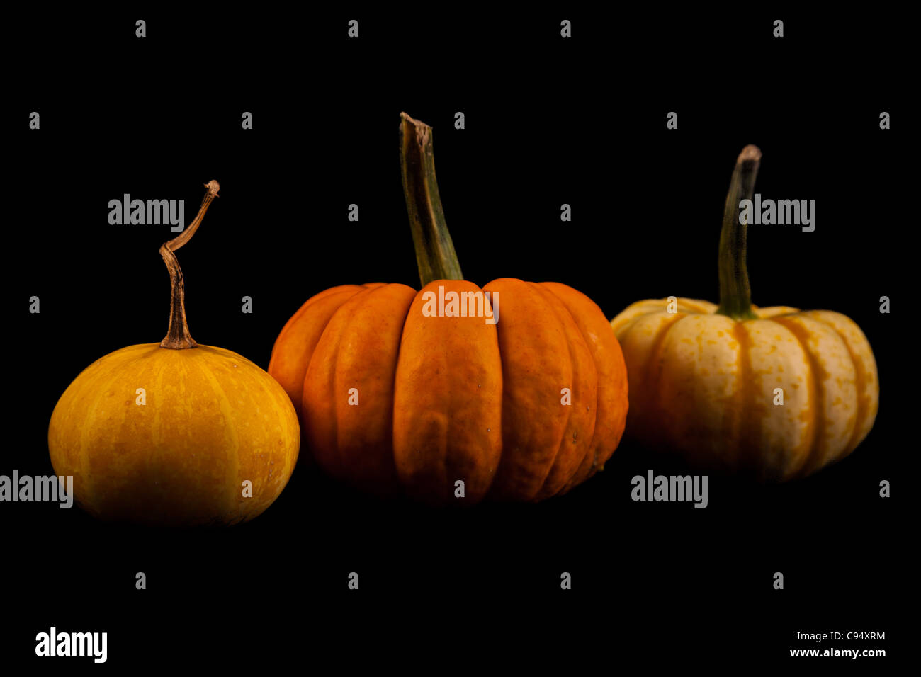 Pumpkins isolated on black Stock Photo - Alamy