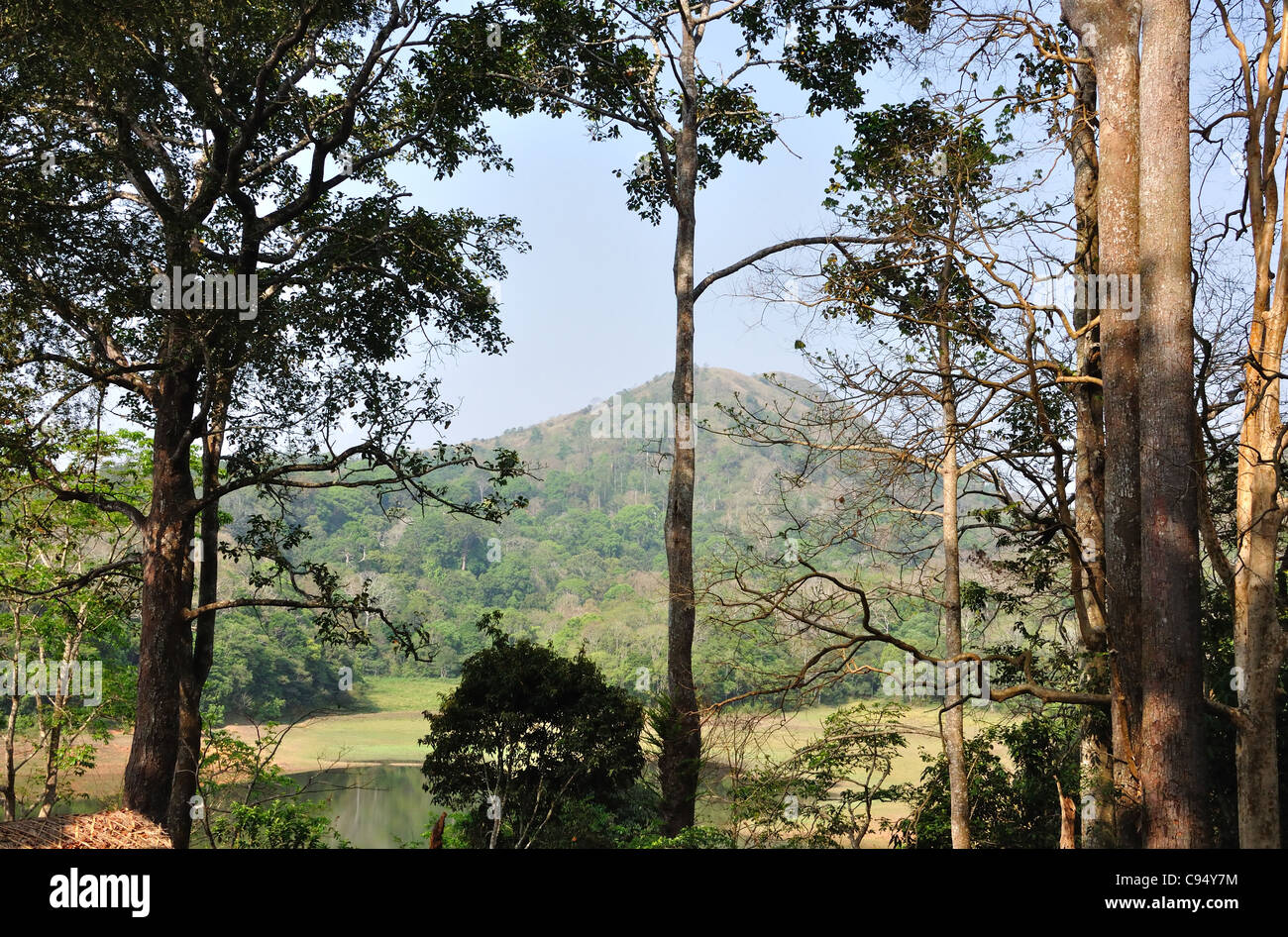 Thekkady of Kerala Stock Photo - Alamy