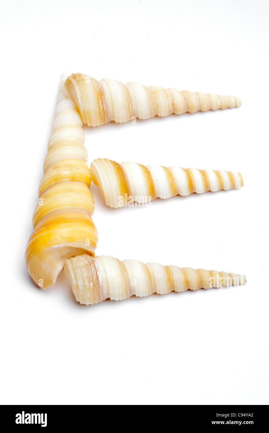 letter E made with sea shells Stock Photo - Alamy