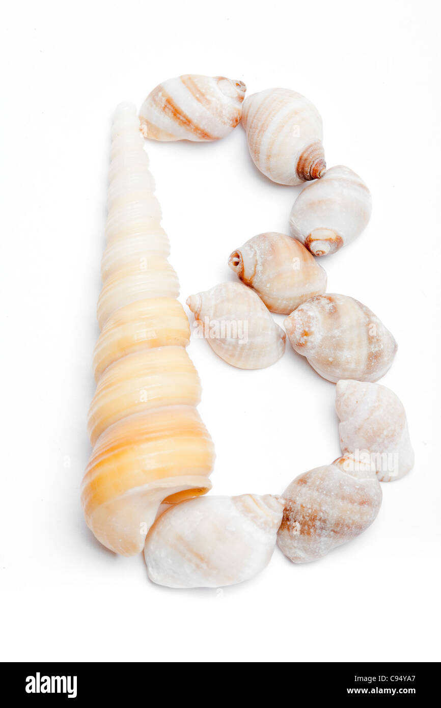 letter B made with sea shells Stock Photo - Alamy
