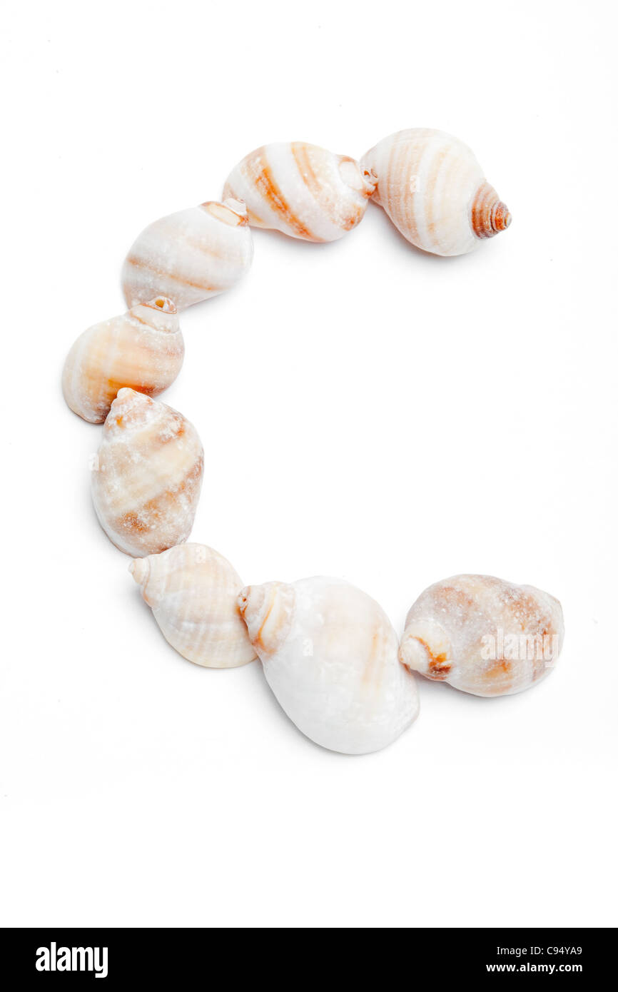 letter C made with sea shells Stock Photo - Alamy
