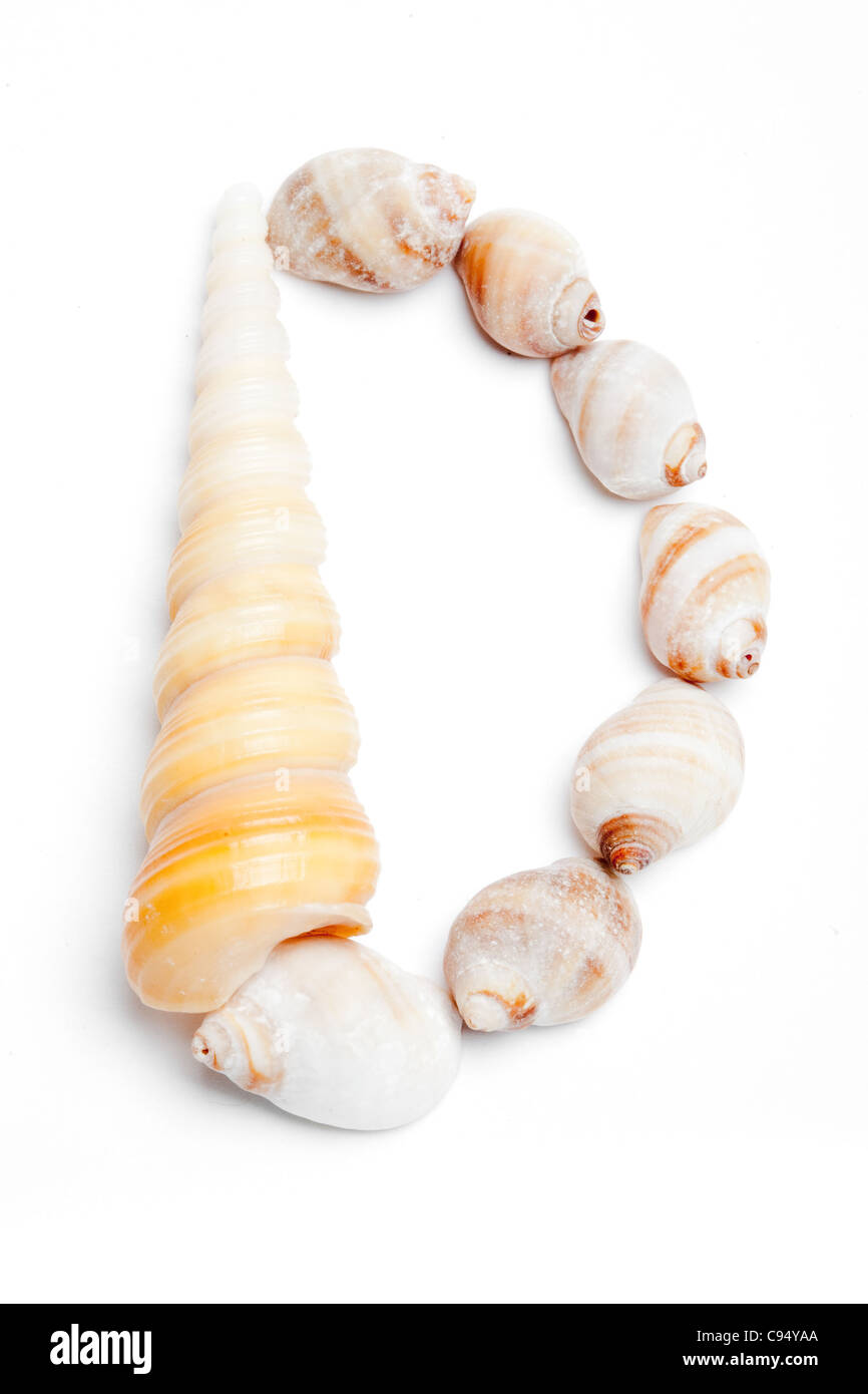 letter D made with sea shells Stock Photo - Alamy
