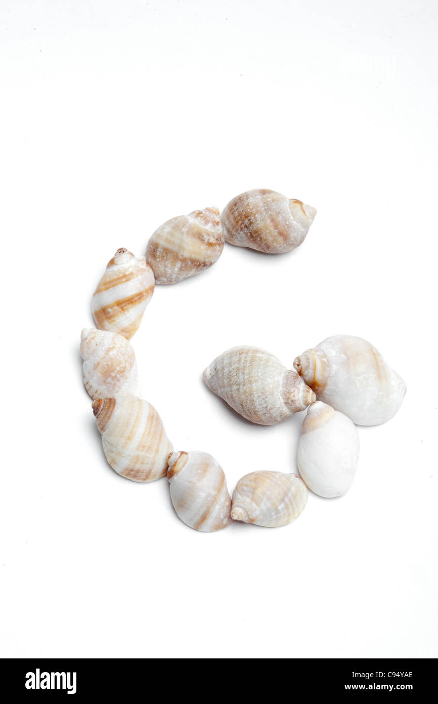 letter G made with sea shells Stock Photo - Alamy