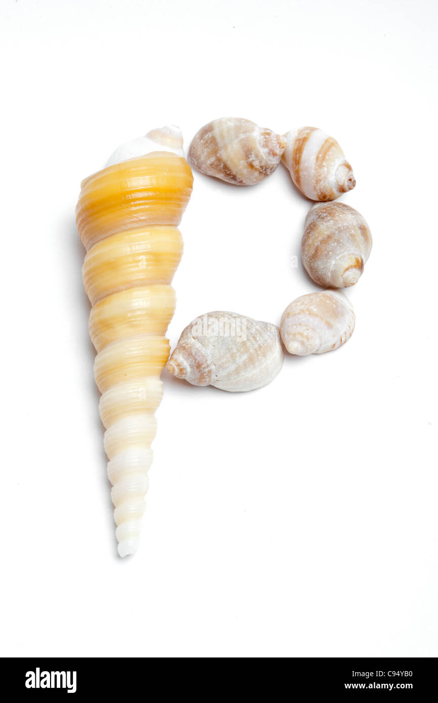 letter P made with sea shells Stock Photo - Alamy