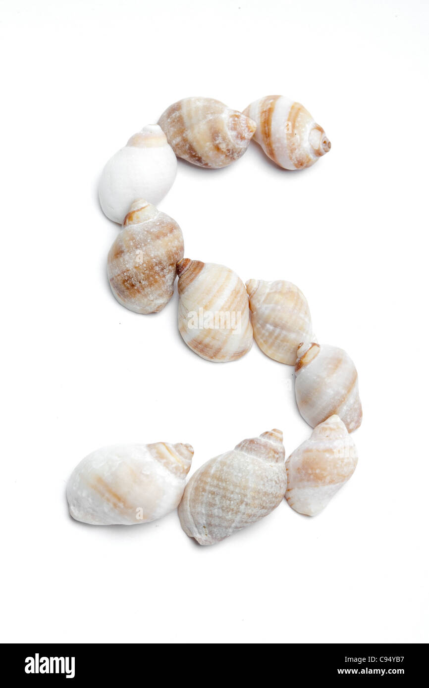 letter S made with sea shells Stock Photo - Alamy