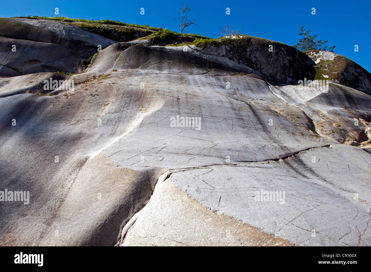 Solid grass hi-res stock photography and images - Alamy