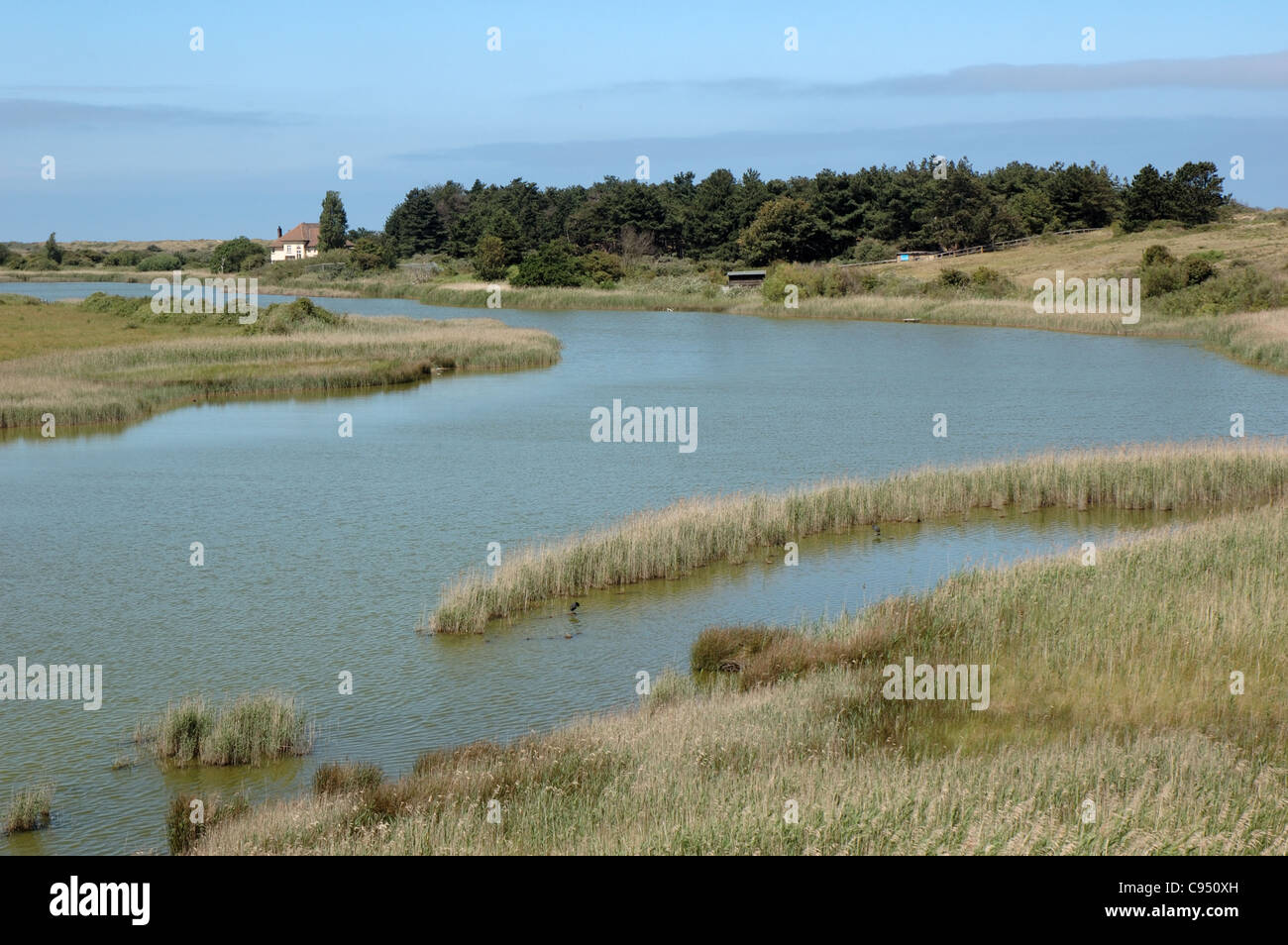Broad Water, Holme Bird Observatory, Norfolk, UK Stock Photo - Alamy