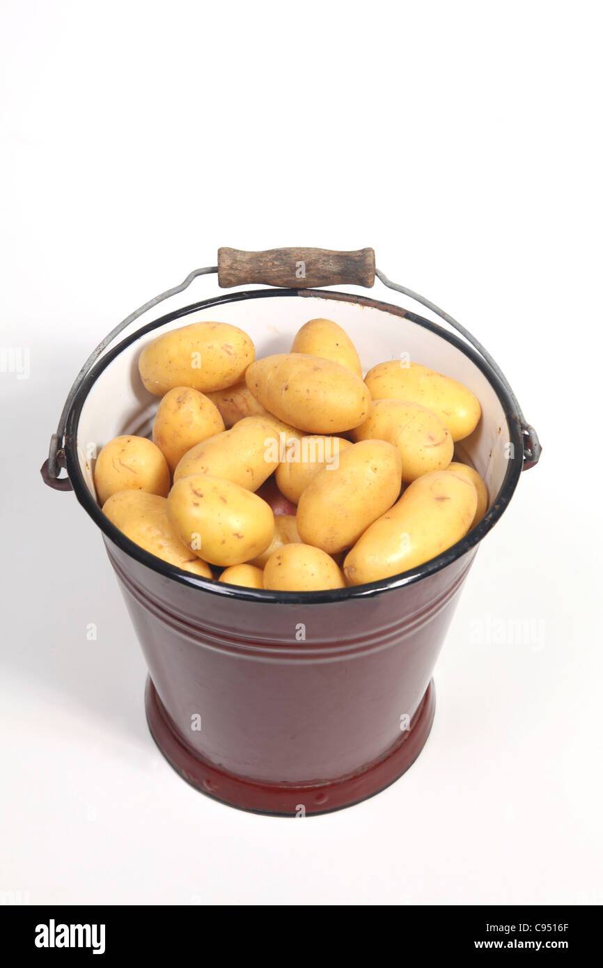 Bucket with potatoes Stock Photo - Alamy