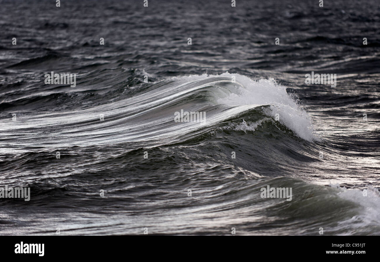 Pacific ocean in storm and waves Stock Photo - Alamy