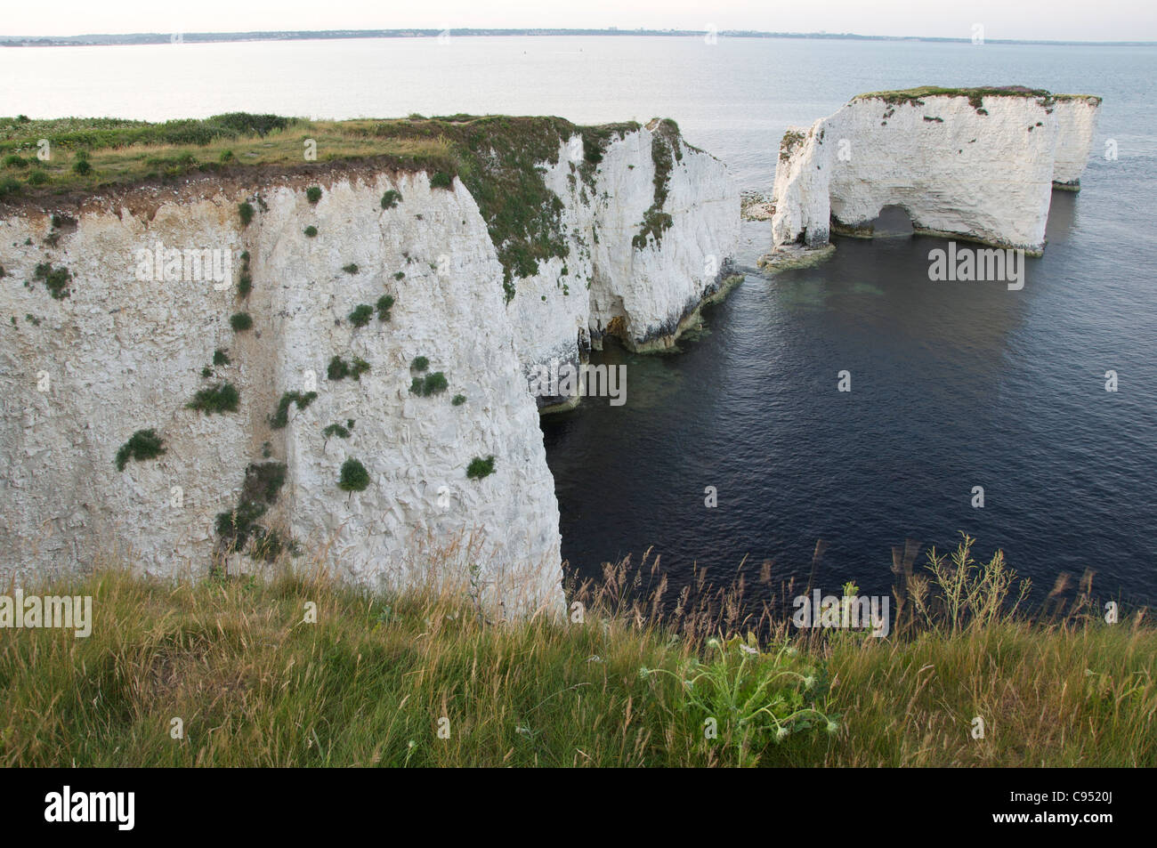 Old harry and his wife rocks hi-res stock photography and images - Alamy