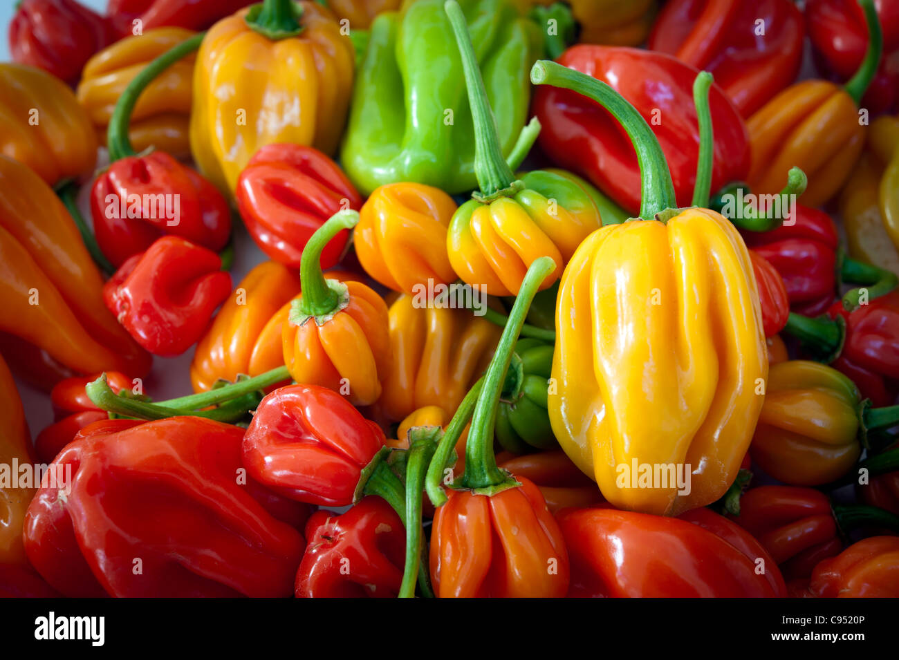 Chilli type hi-res stock photography and images - Alamy