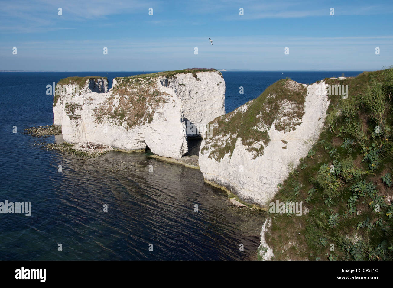 Old Harry Rocks. Massive chalk stacks standing just off the vertiginous ...