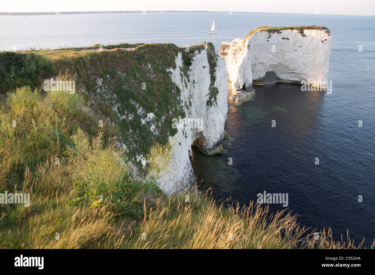 Old Harry Rocks. Massive chalk stacks standing just off the vertiginous ...
