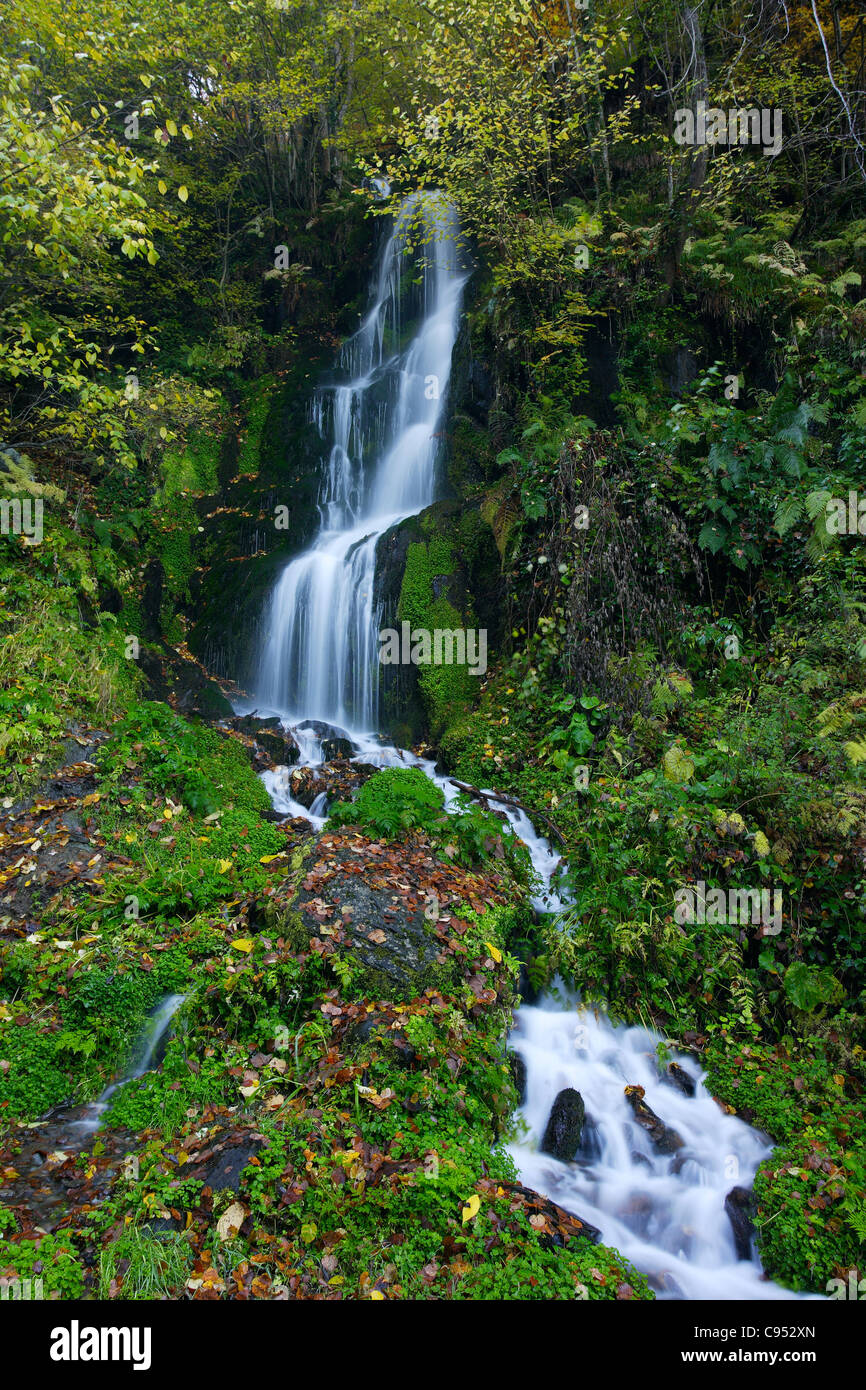 Waterfall in Toràn valley, Aran Valley, Catalonia, Pyrenees, Spain ...