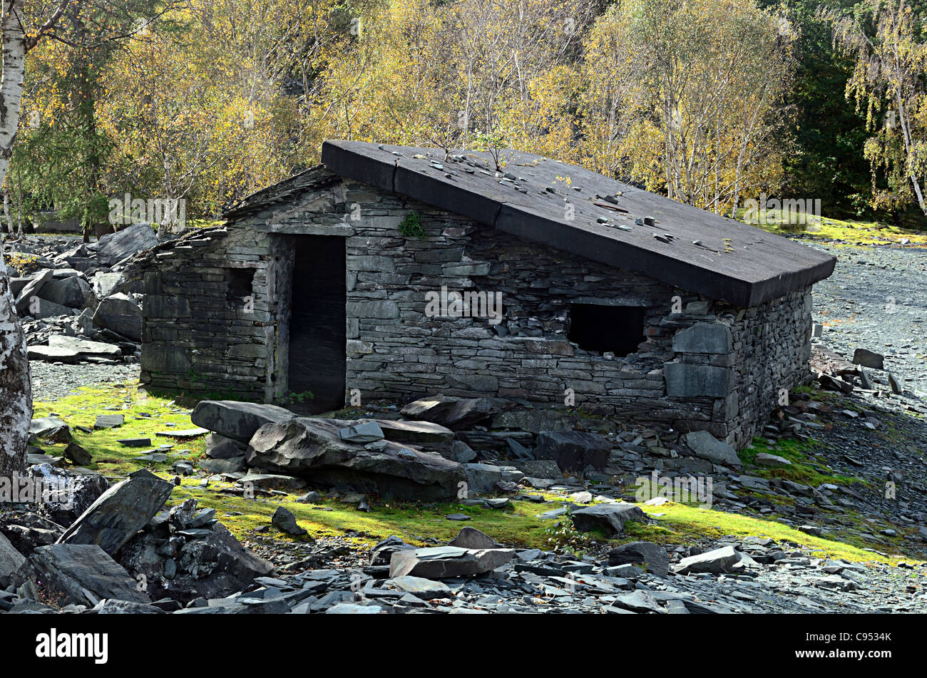 Derelict Slate Cottage Stock Photo - Alamy
