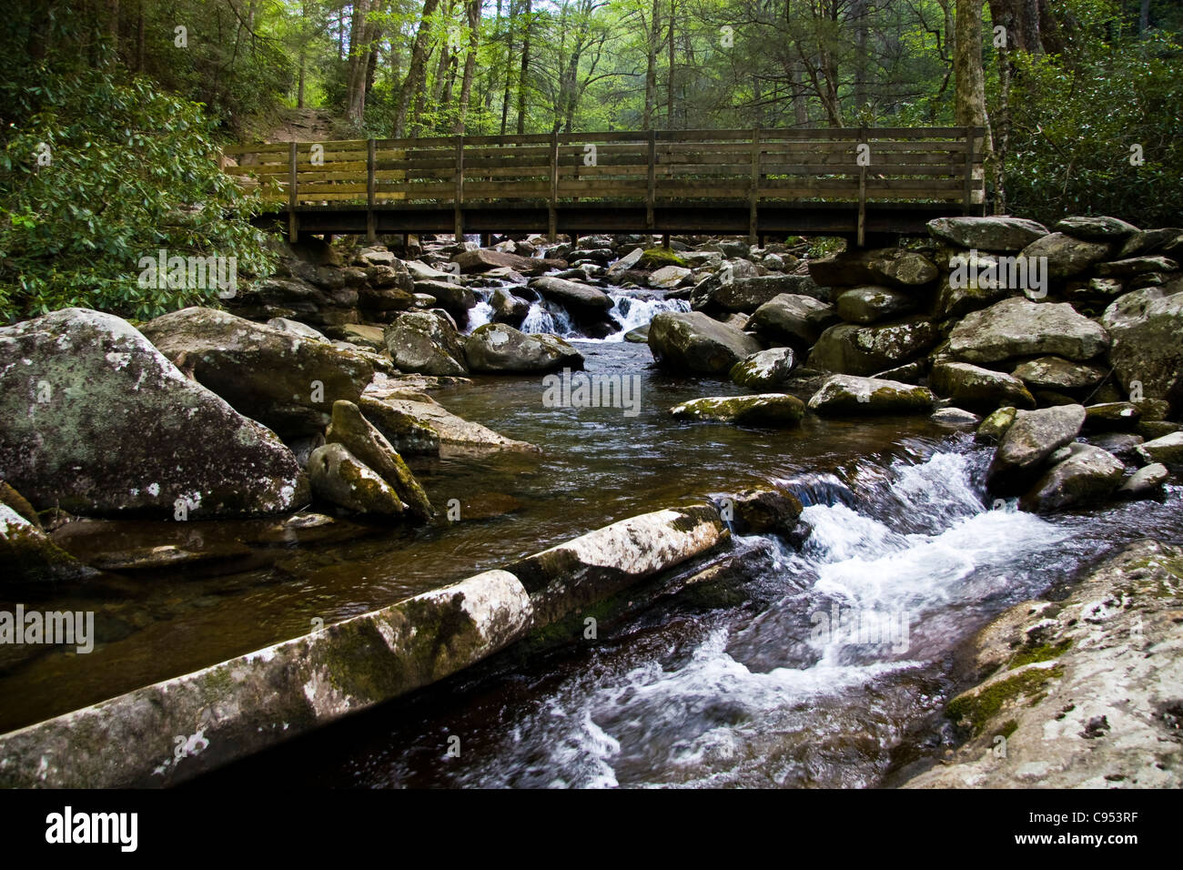 A wooden plank pedestrian bridge spanning over a rocky stream in The ...