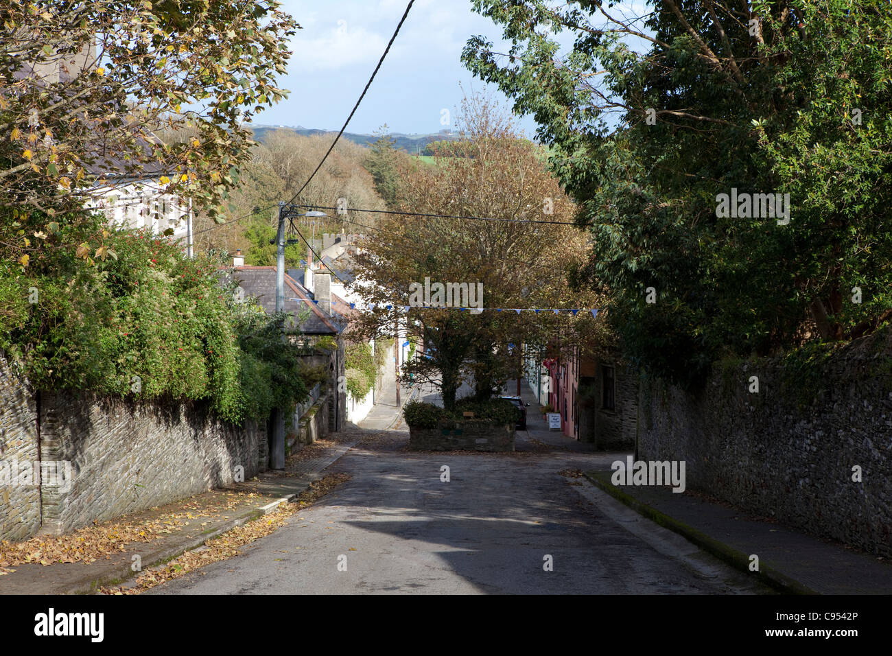 Main street, Castletownshend, Co. Cork, Ireland, with the Two Trees in ...