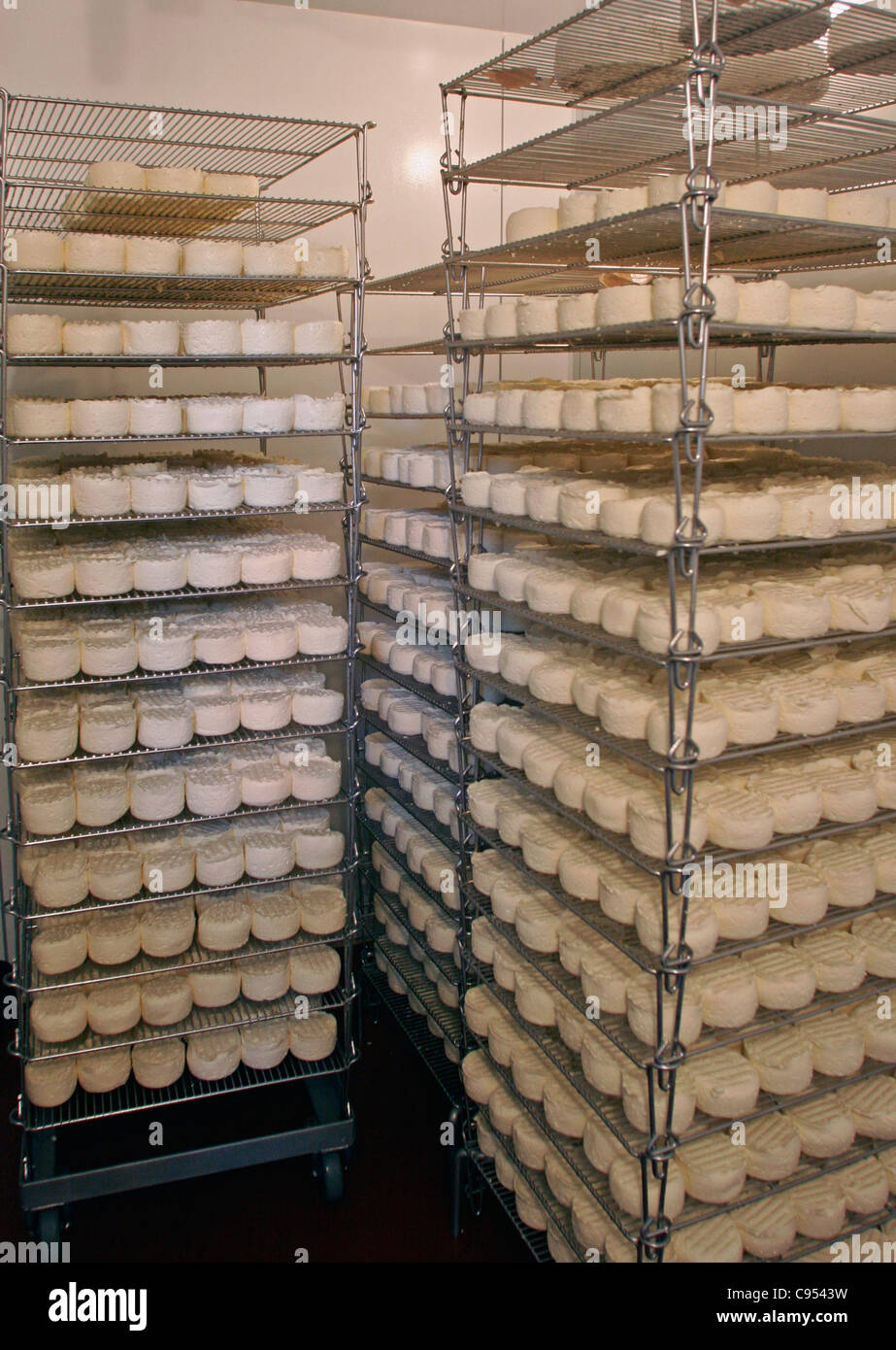 United states artisan cheese making hi-res stock photography and images ...